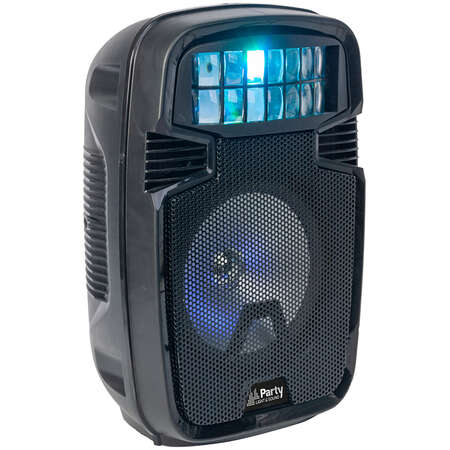 Boxa Portabila Ibiza Sound 8inch /20Cm Cu USB/SD/BT/FM Negru ITGalaxy.ro